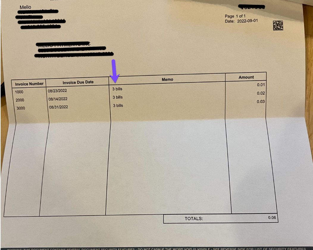 How do I print remittance advice for a check payment to a vendor that ...