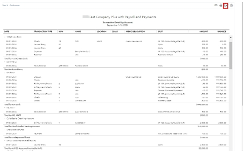 Report of bank balances at a specific date in time