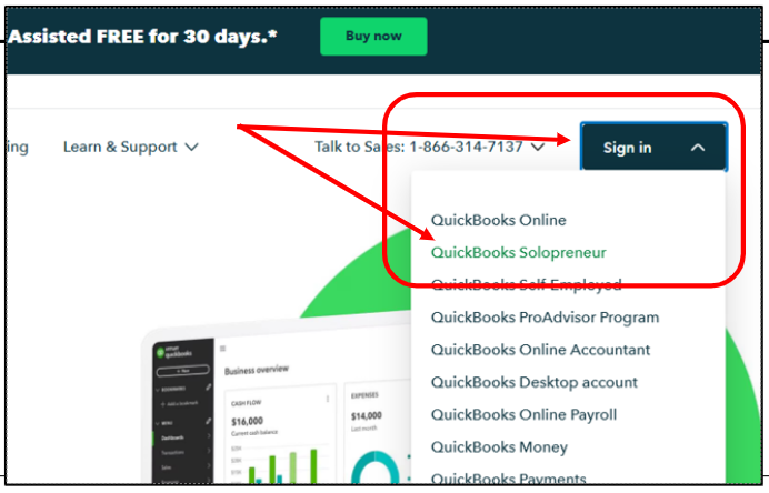 How is quickbooks solopreneur category mapping to chart of accounts set up?