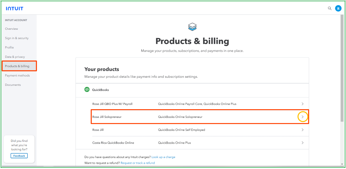 How is quickbooks solopreneur category mapping to chart of accounts set up?