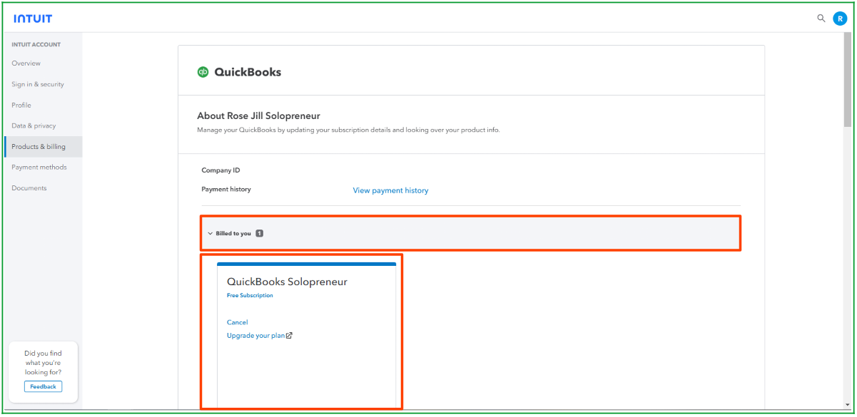 How is quickbooks solopreneur category mapping to chart of accounts set up?
