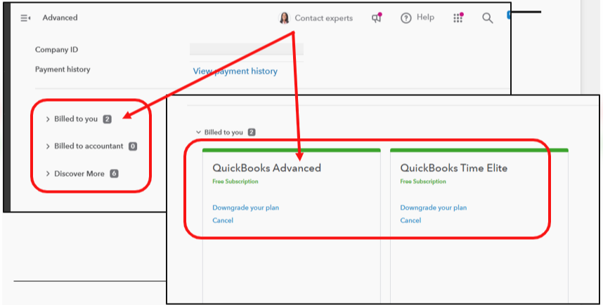How do I tell which version of QB Online I am using?