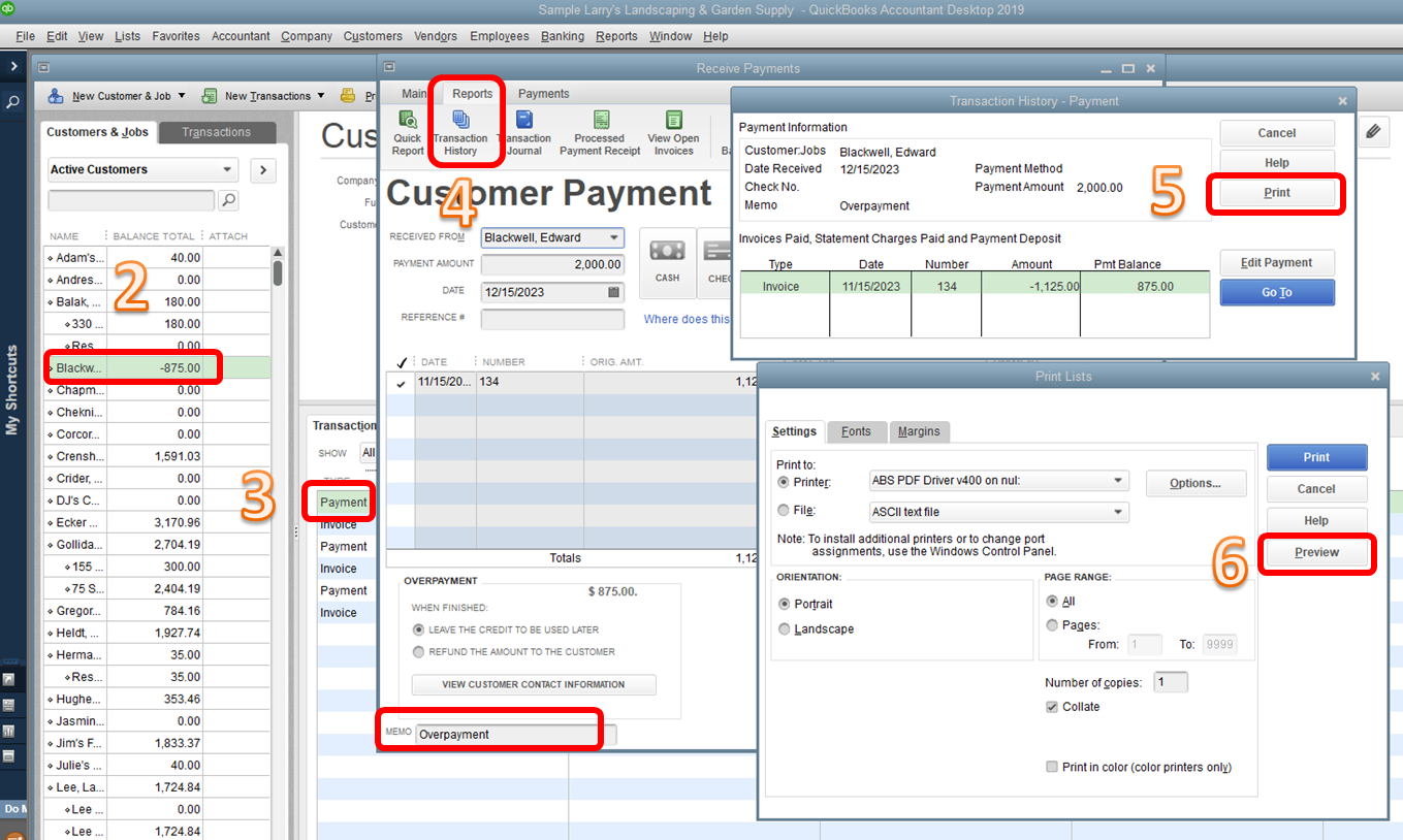 Solved: Is there a way to turn this credit into a credit memo?
