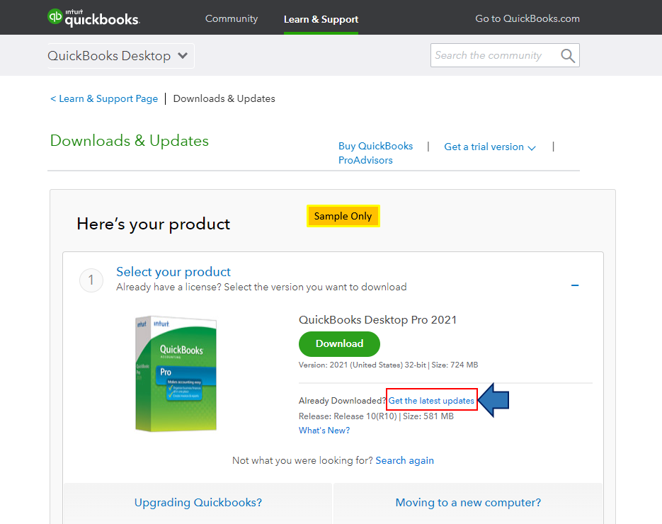 QuickBooks Pro 2021 Desktop and Internet Explorer requirement
