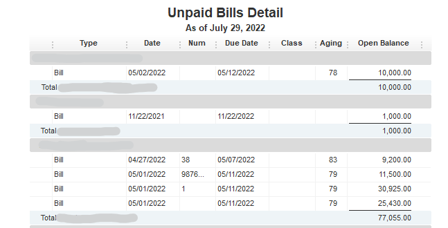 Accounts Payable report by vendor by class